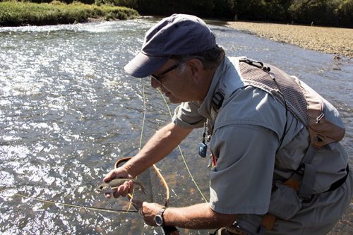 Groups Opposing State Question On Agriculture Form Unusual Alliance ...