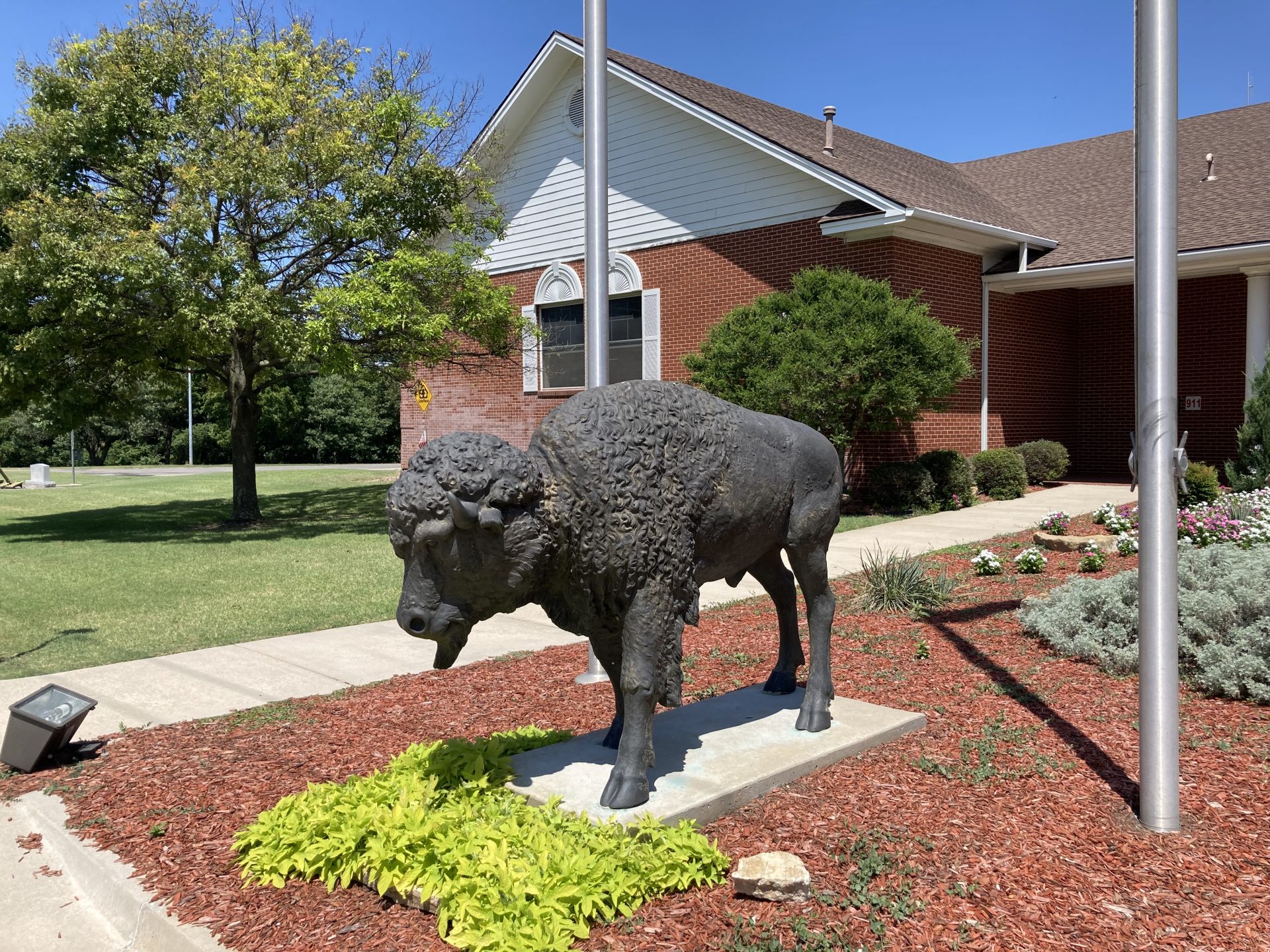 Oklahoma School for the Deaf welcomes new, more inclusive Bison mascot ...