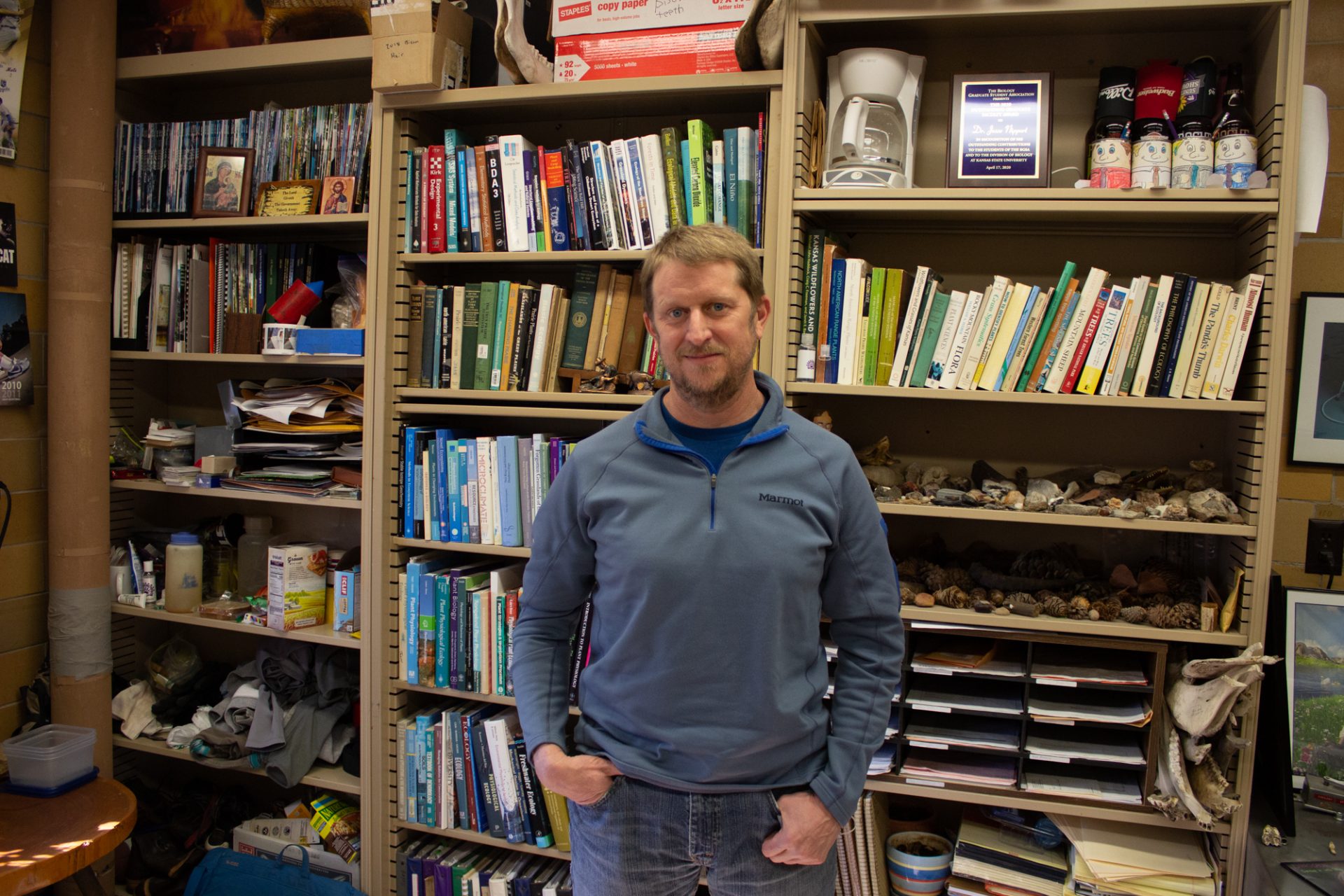 ‘A world of wounds’: Decline in grasshopper populations offers window ...