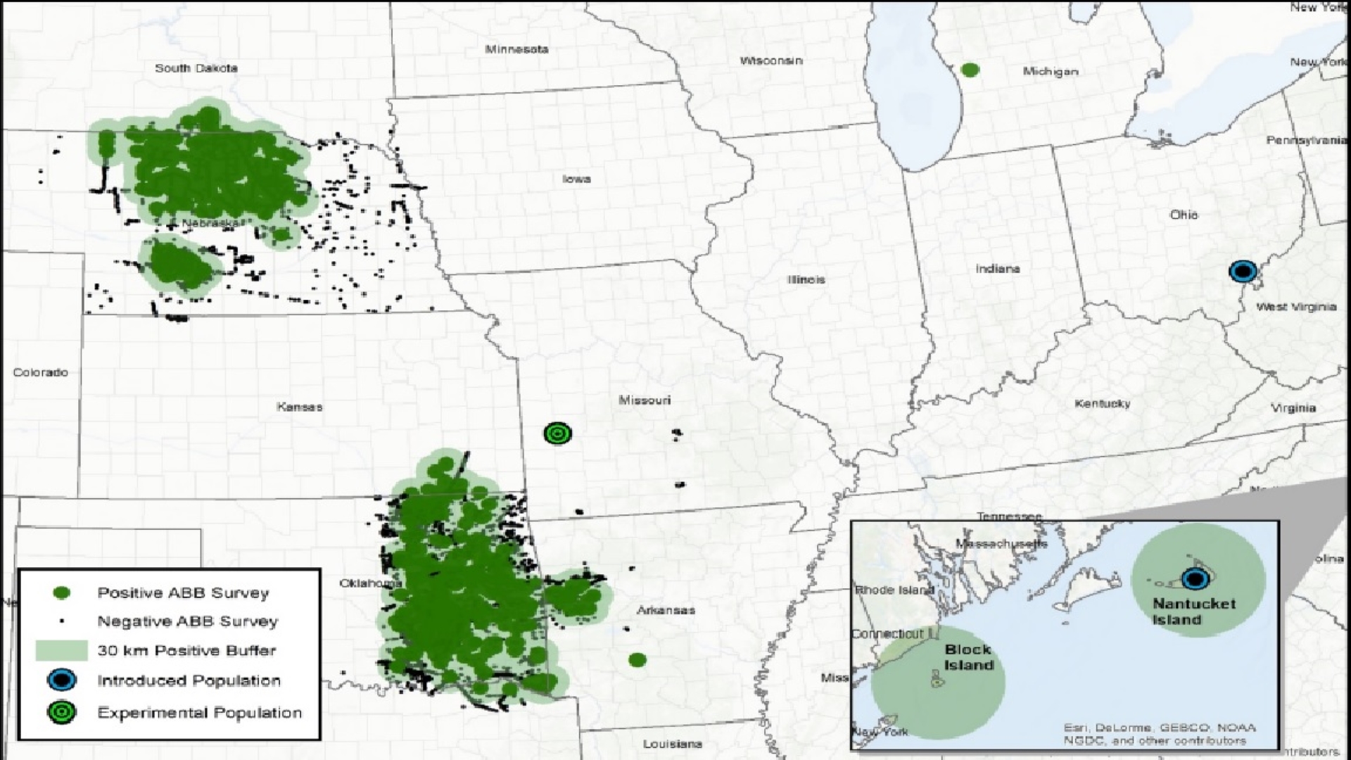 Long-embattled, rare beetle offers hope of new discoveries to OSU ...