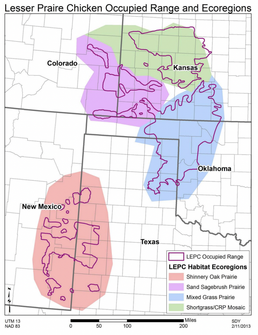 Endangered Species Act listing of Lesser Prairie-Chicken expected to ...