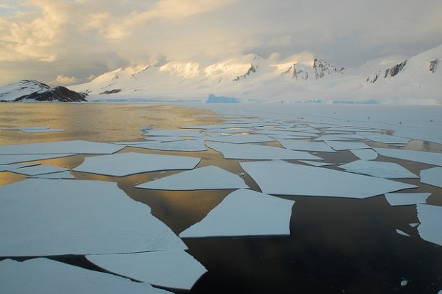 The Fast Ice of Antarctica | StateImpact Texas