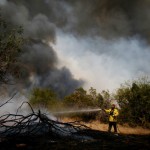 Why Wildfire Seasons Are Likely to Get Longer and More Devestating ...
