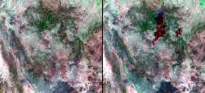 Here’s What Climate Change and Urban Sprawl Look Like in Texas ...